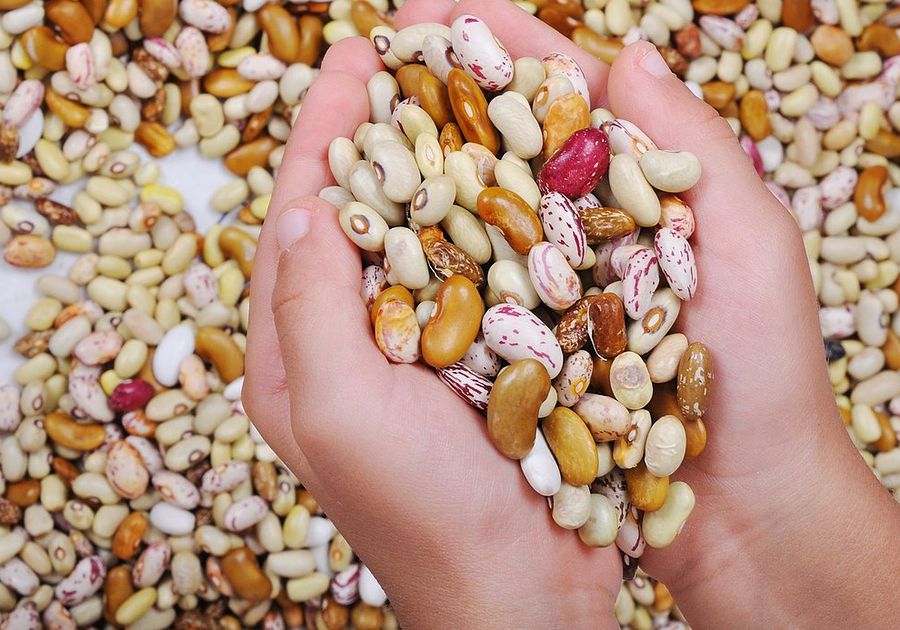 Best Carbohydrates for Vegan Diets | OnPoint Nutrition